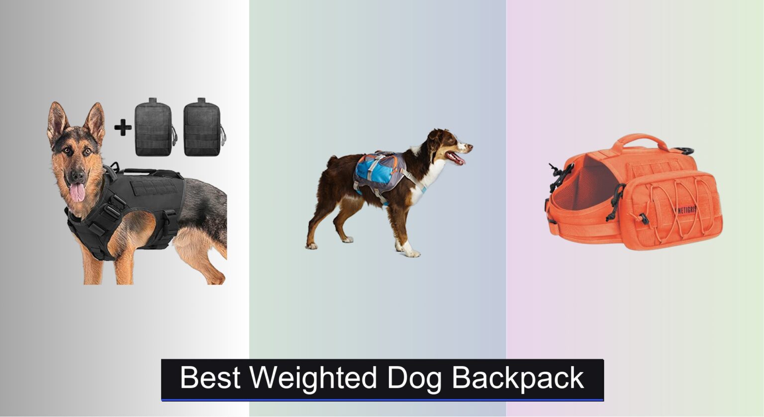 7 Best Weighted Dog Backpacks for 2026