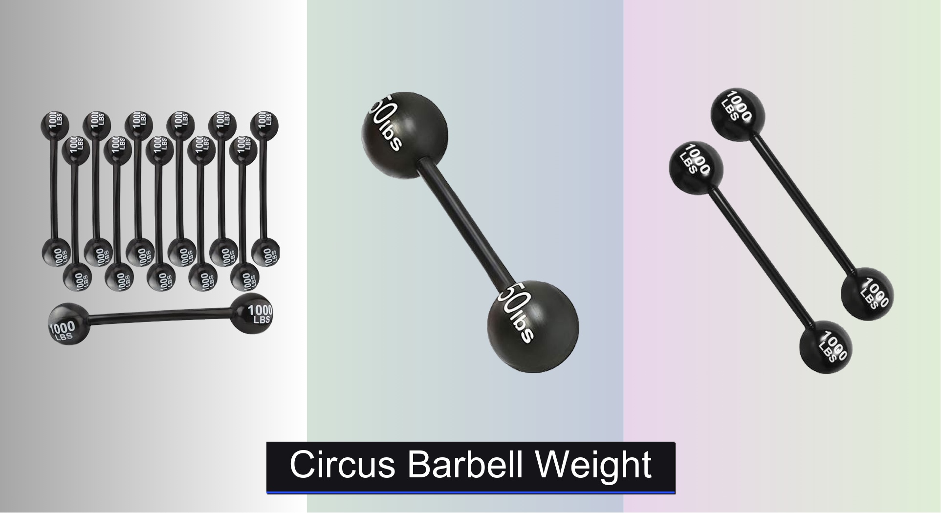 6 Best Circus Barbell Weights of 2026