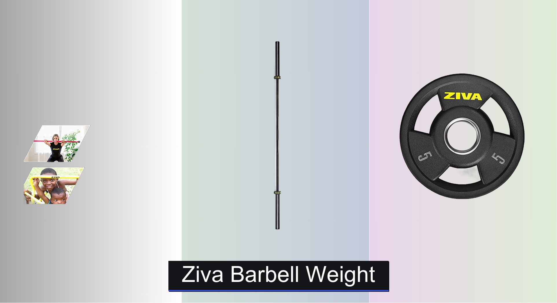 6 Best Ziva Barbell Weights of 2026