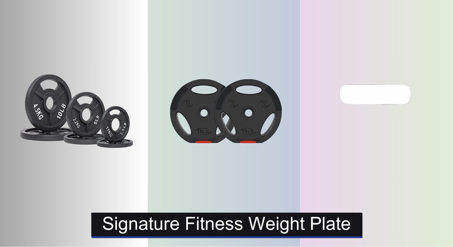 7 Best Signature Fitness Weight Plates of 2026
