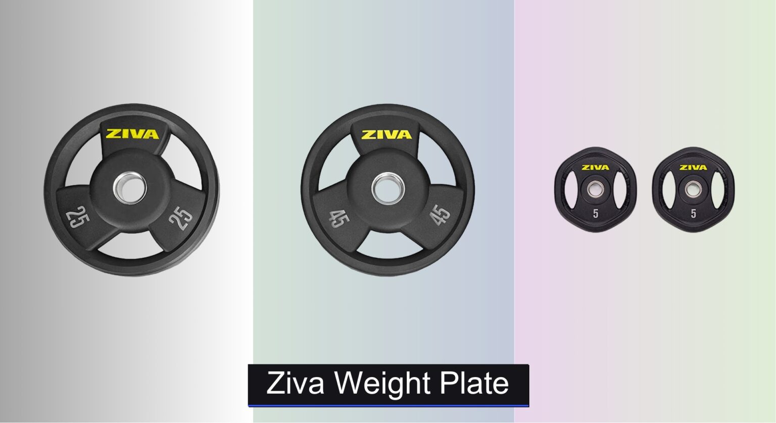 6 Best ZIVA Weight Plates of 2026